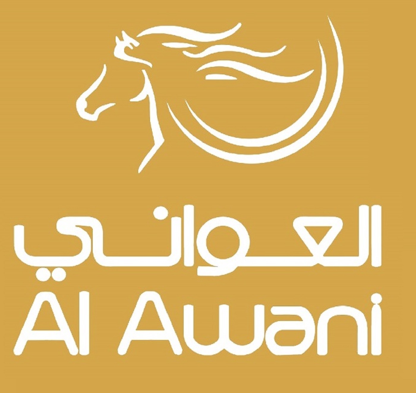 The Arabian Horse